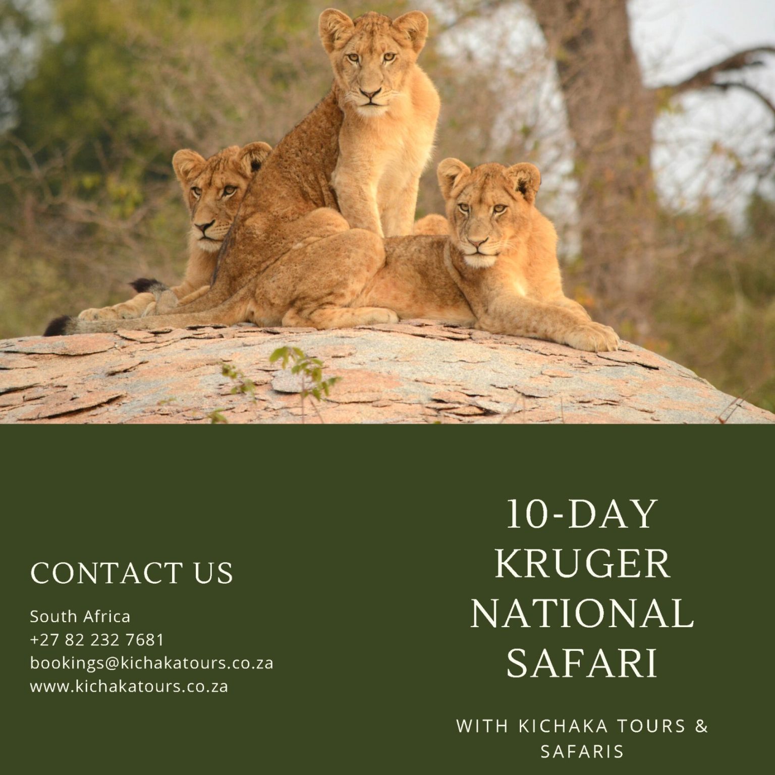 10 Day Kruger National Park – Kichaka Tours